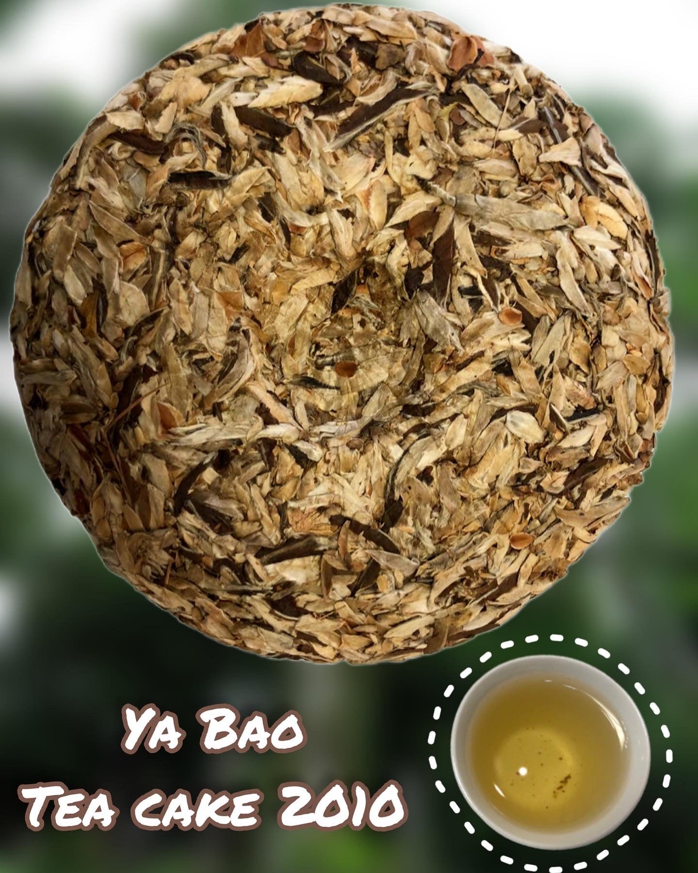 Ya Bao Tea Cake 2010 – Aroma Tea Shop